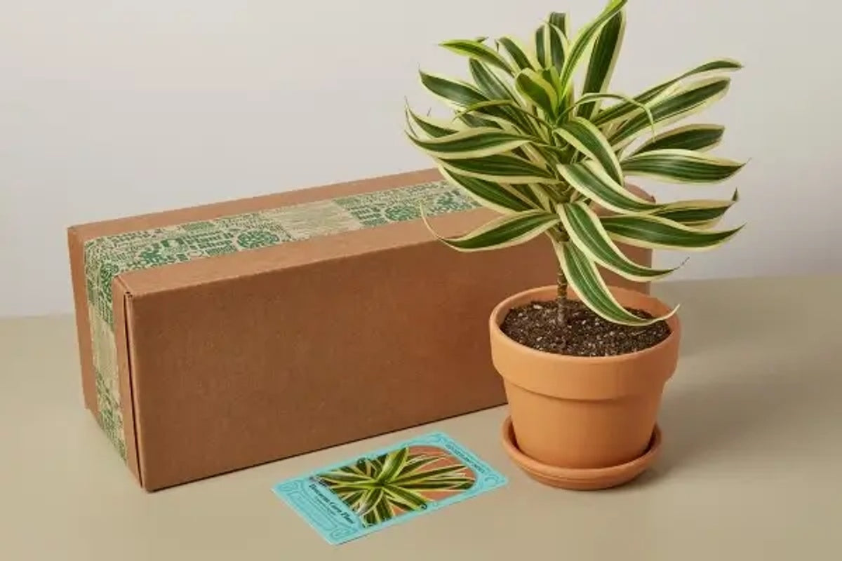 The Best Spring Subscription Boxes for a Fresh, New Start - Cratejoy