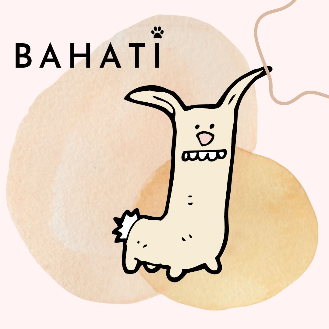 Bahati Box