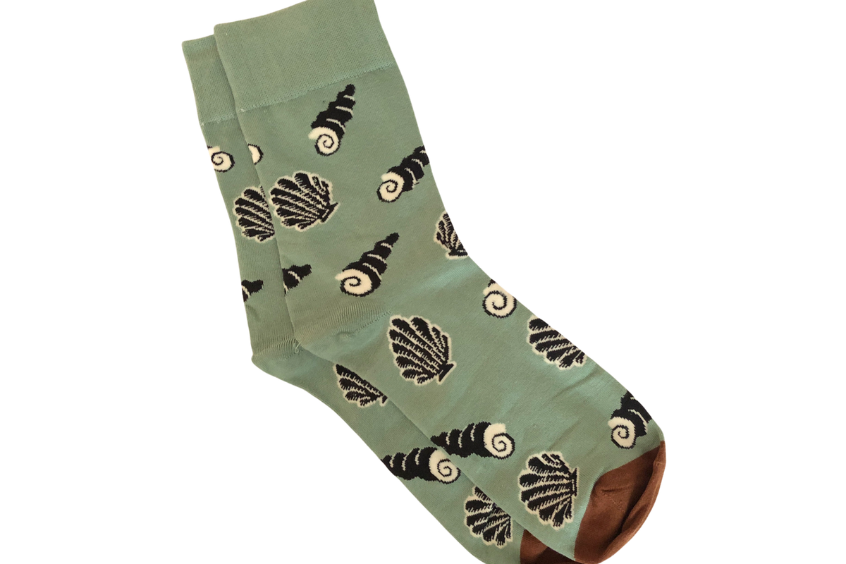 Seashells Seashore Sock - Men's - Cratejoy