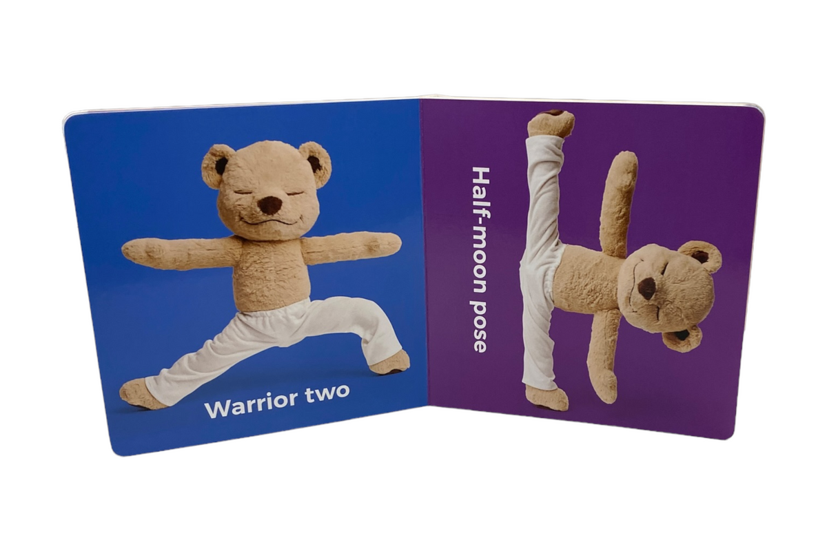 Meddy Teddy Board Book - Cratejoy