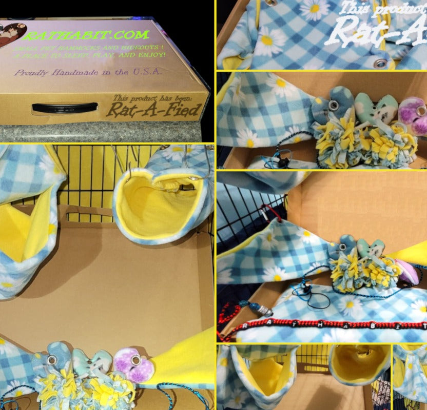 Monthly Box for Rats, Guinea pigs, Sugar Gliders - Cratejoy