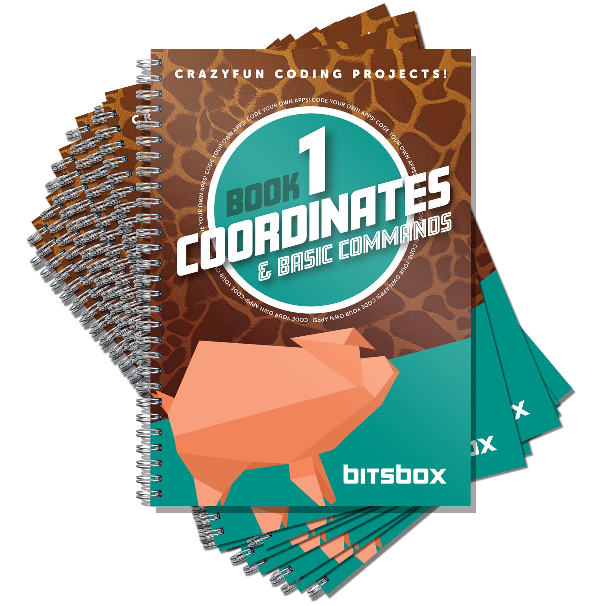 10 Pack of Coding Project Books: Unit 1 - Cratejoy