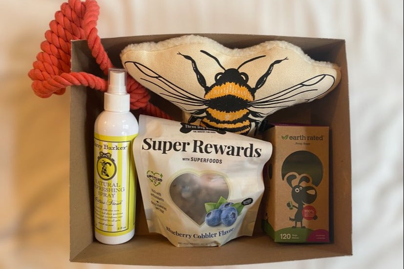Vibrant Pups Box Dog Subscription - Cratejoy